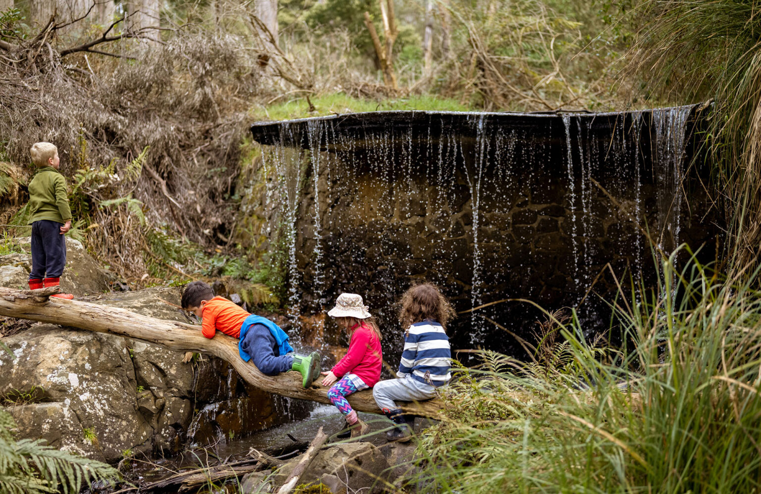 Bush Kinder - Candlebark School